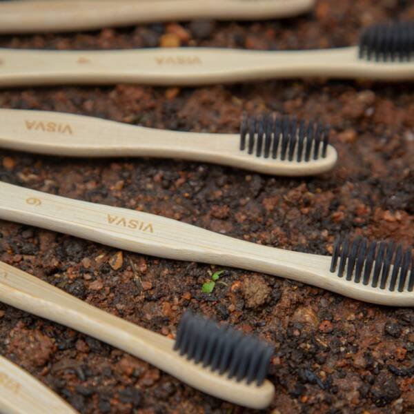 VISVA Sustainable Foundation