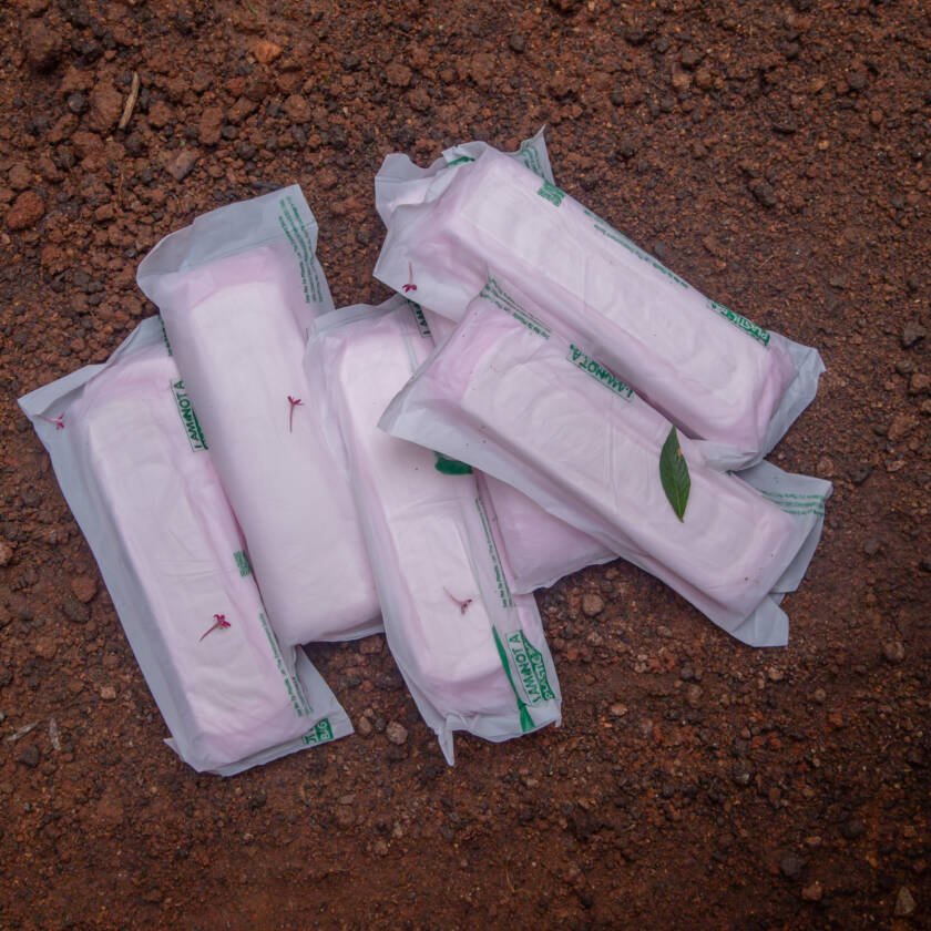 Healthy Sanitary Pads, Made of Cotton and Wood Pulp - 42 Pads - VISVA ...